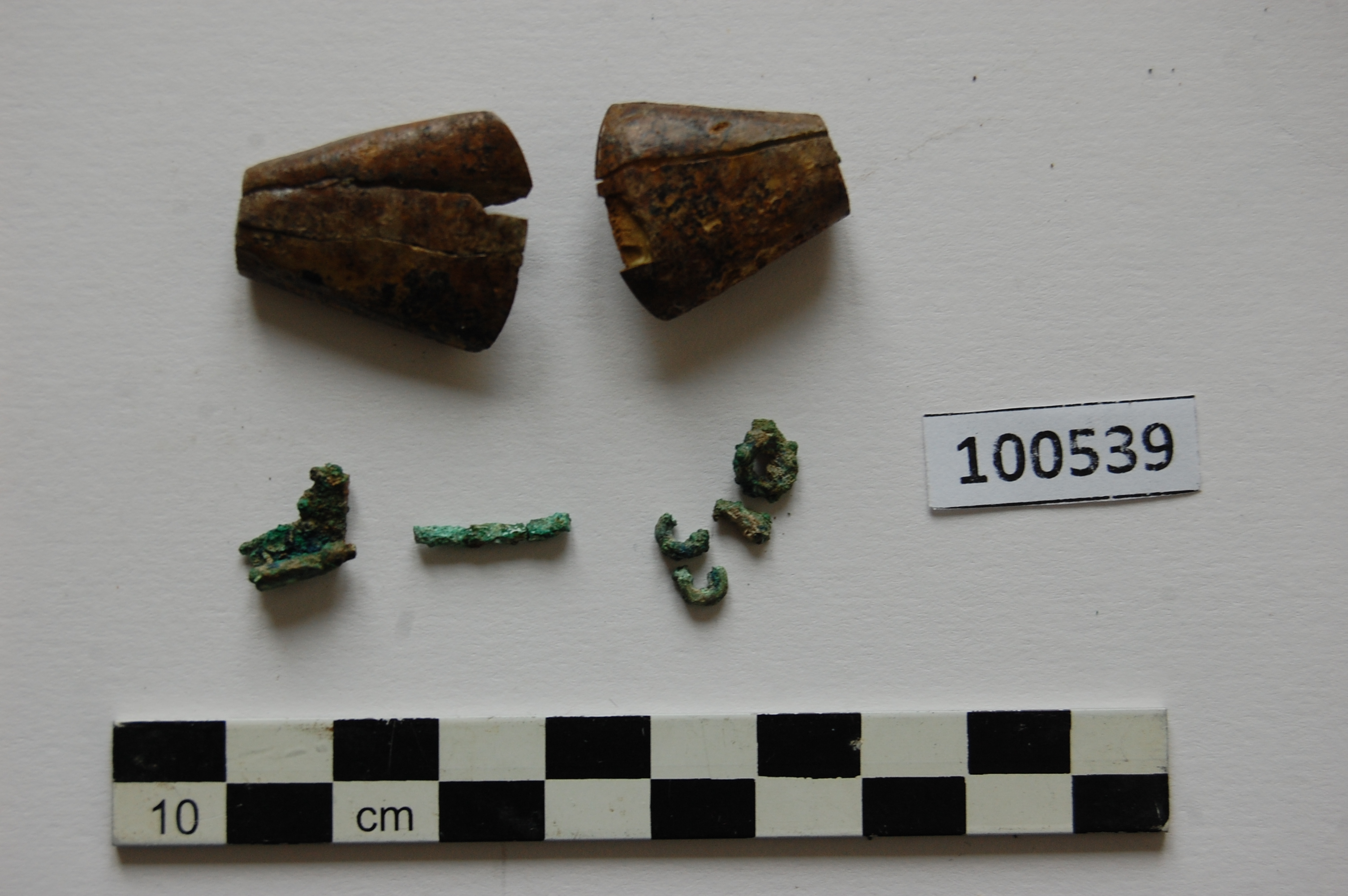 Fibula/frammenti (ad arco rivestito) Camerano, 580 aC - 525 aC