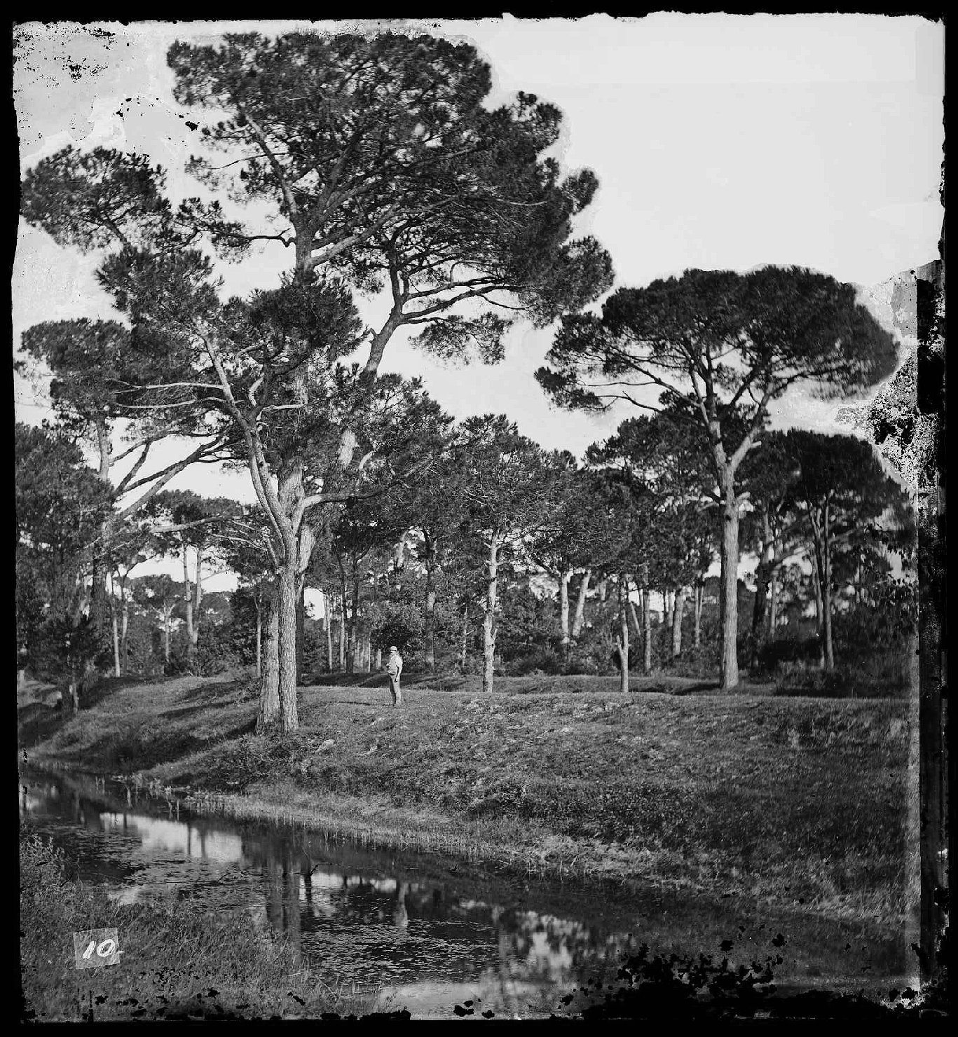 Ravenna - Pineta di Classe - Fosso Ghiaia (?) negativo, ca 1877 - a