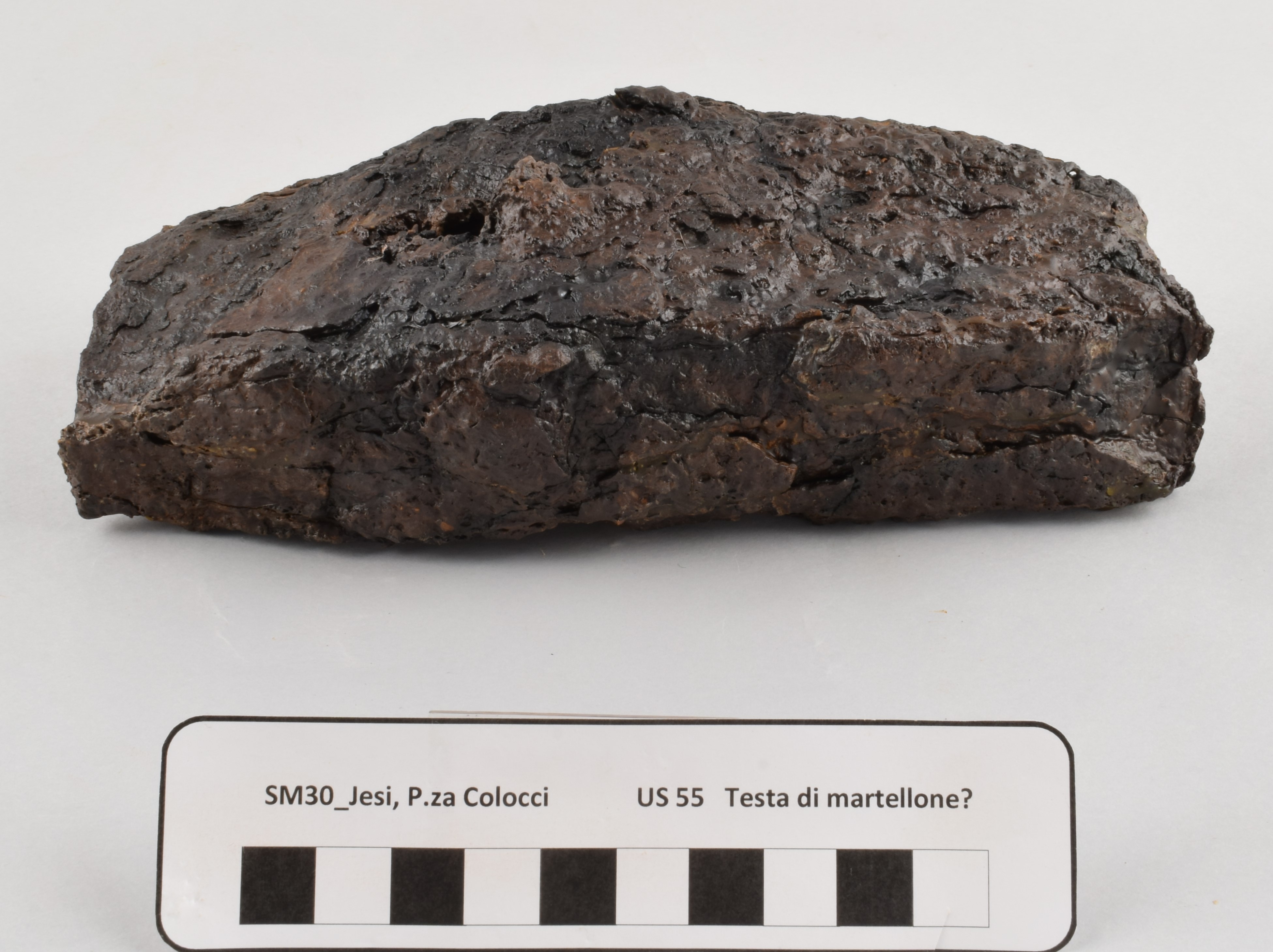 martello Jesi,PERIODIZZAZIONI/ Storia/ Eta' medievale/ Basso Medioevo