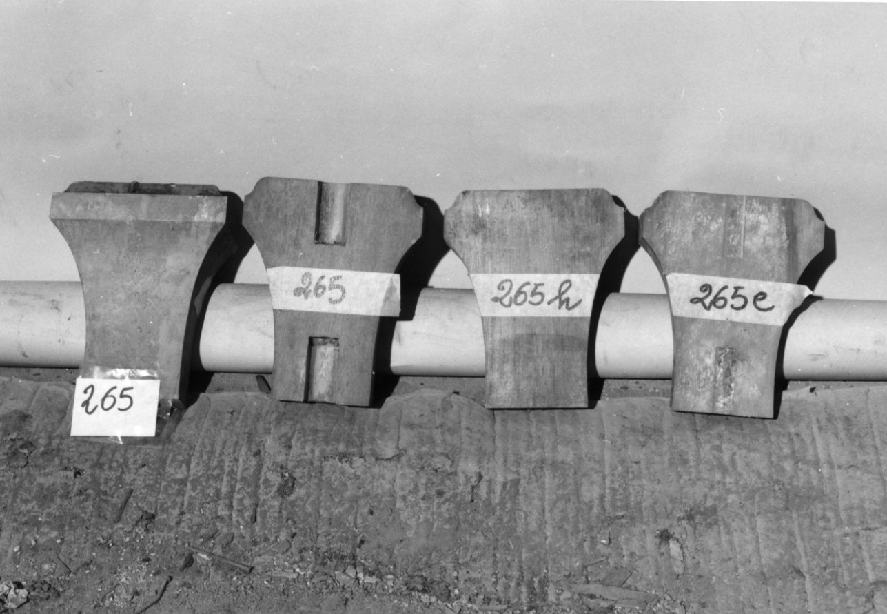 vetrina, frammento di Sanmori S Ditta (metà sec XX) vetrina 1940