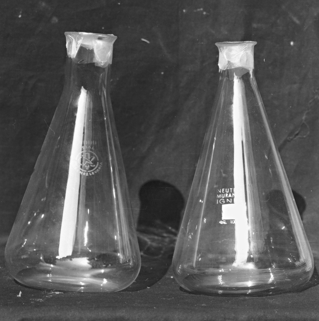 beuta, serie - produzione italiana (secondo quarto sec XX) beuta 1