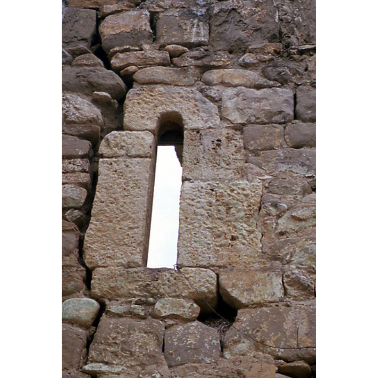 monofora - bottega marchigiana (sec XVI) monofora,